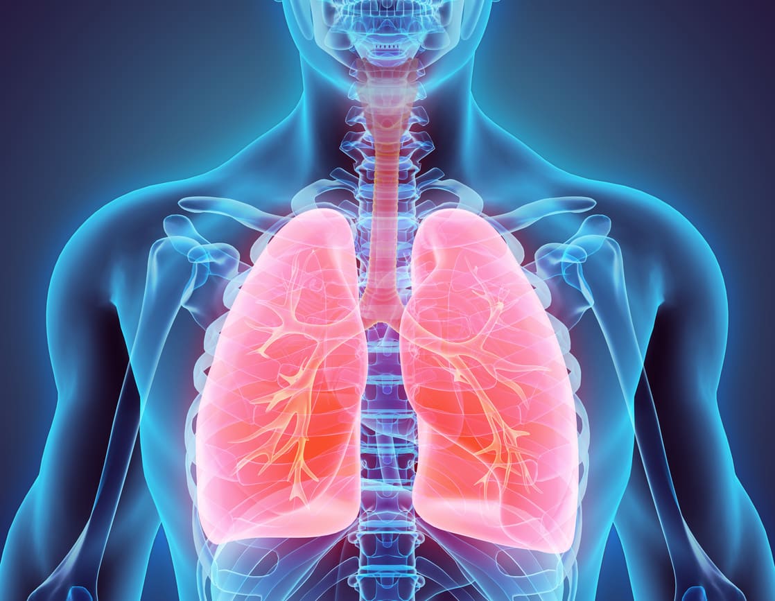 Tuberculosis surveillance and monitoring in Europe