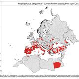 Search | European Centre for Disease Prevention and Control