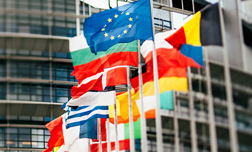 Dr. Andrea Ammon at COVID Committee of the European Parliament