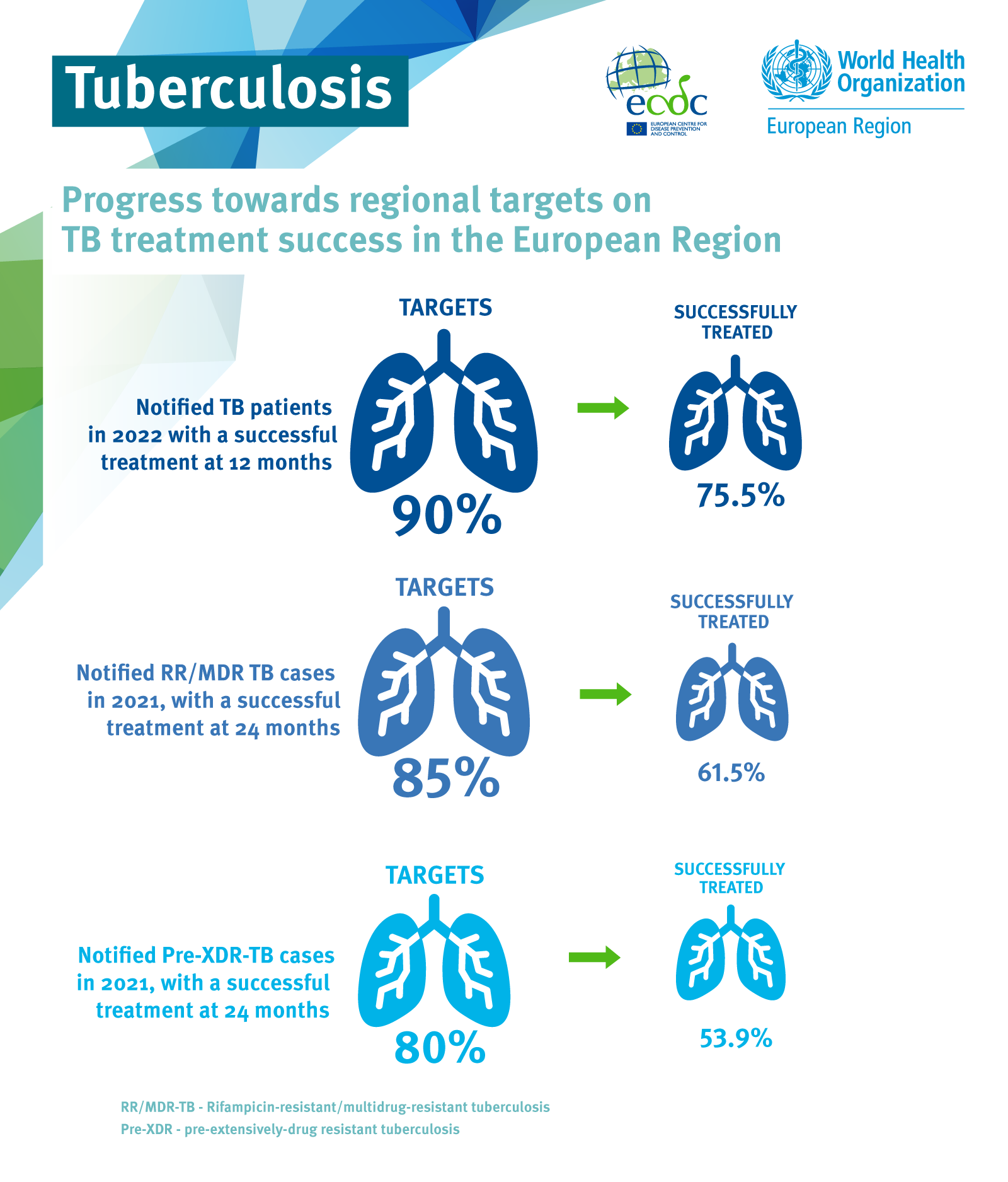 Infographic: Tuberculosis treatment outcomes in the European Region, 2023