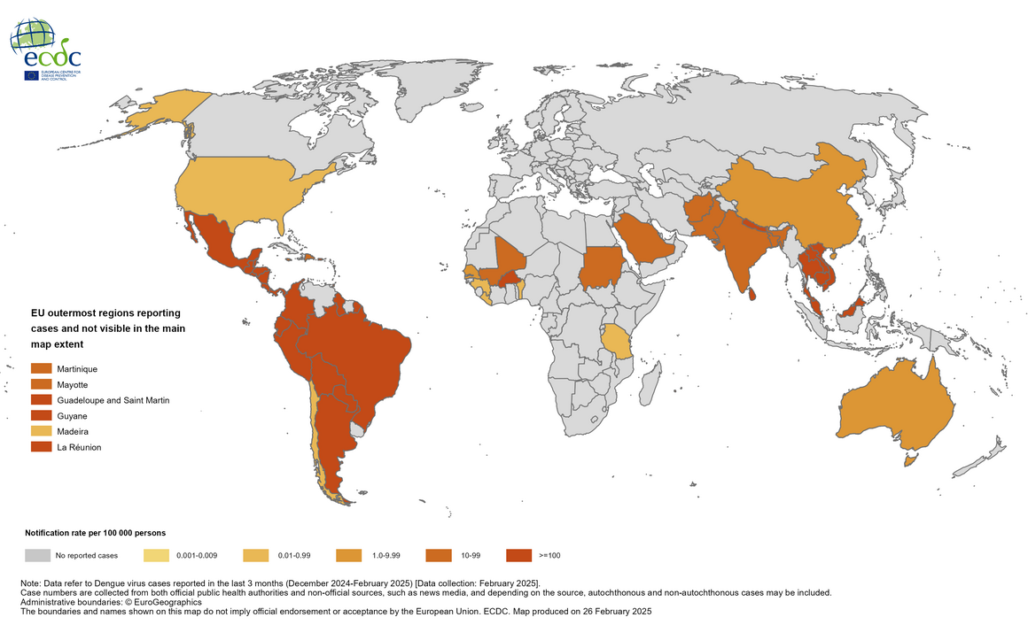 Dengue worldwide overview