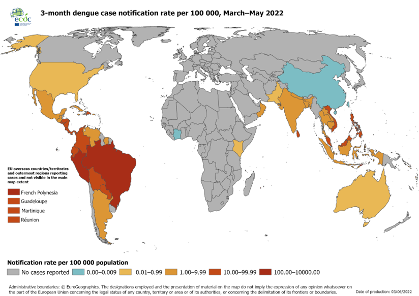 Dengue Cases Worldwide 2024 - Debby Ethelin Dengue Cases Worldwide 2024 - Debby Ethelin