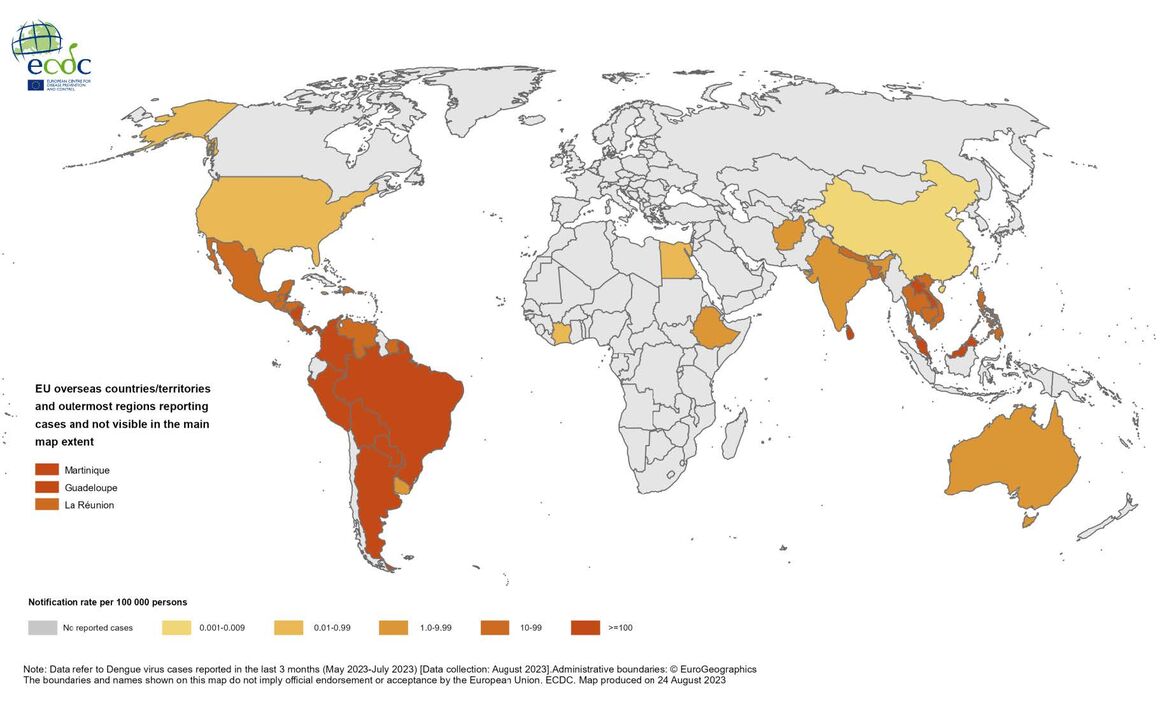 Dengue worldwide overview
