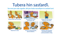 Národného ústavu tuberkulózy, pľúcnych chorôb a hrudníkovej chirurgie ...